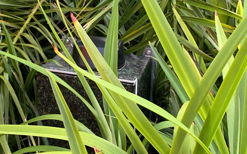 SAGE enables Royal Botanic Gardens to map popular visitor routes